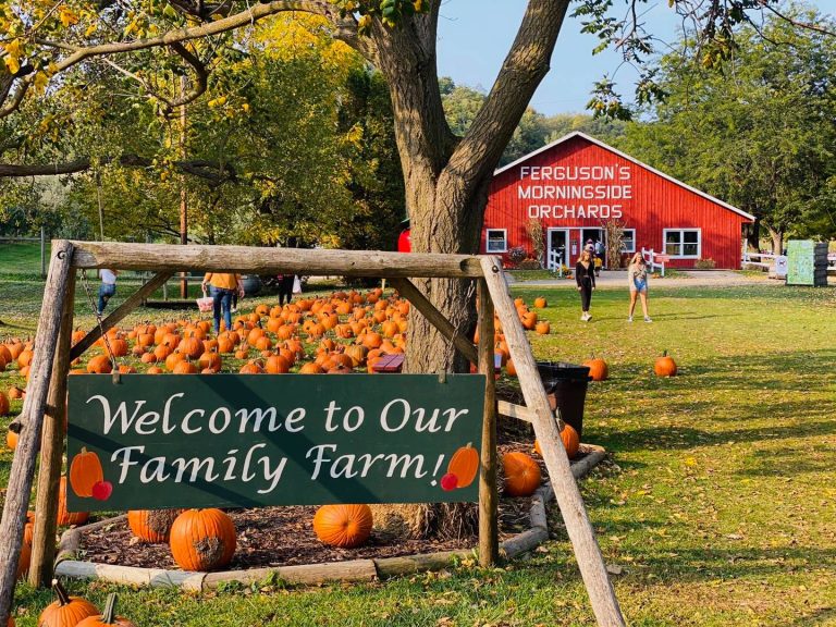 La Crosse Fall Fun Guide 2025 - Around River City